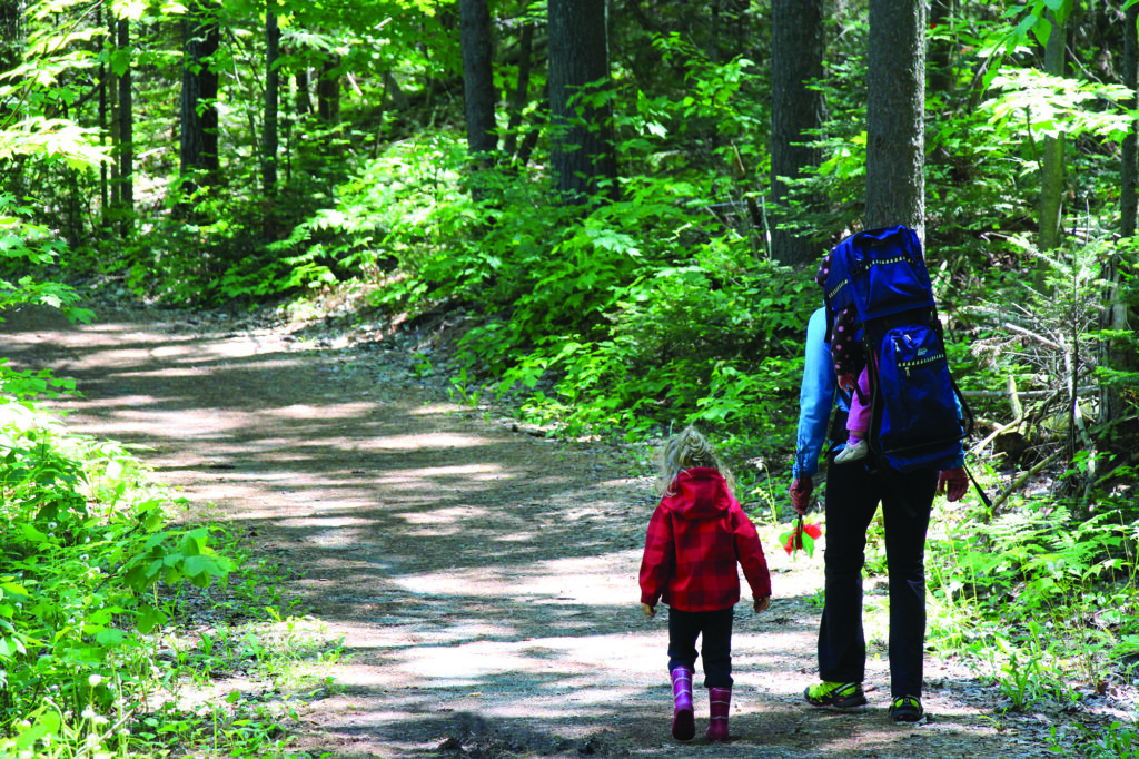 Parc du Domaine Vert | Journal Accès