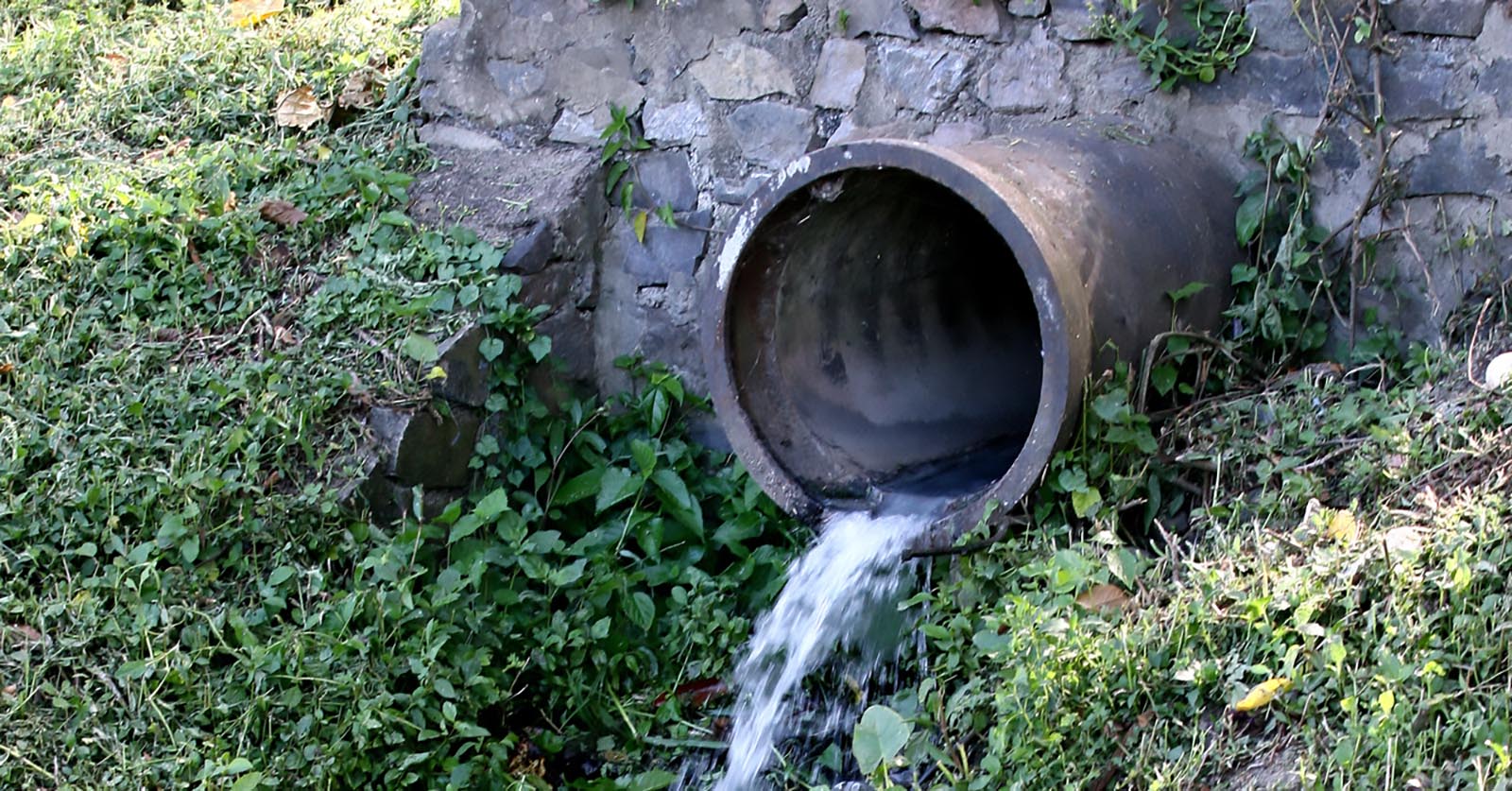 Comprendre le ruissellement des eaux pluviales et son impact sur notre ...