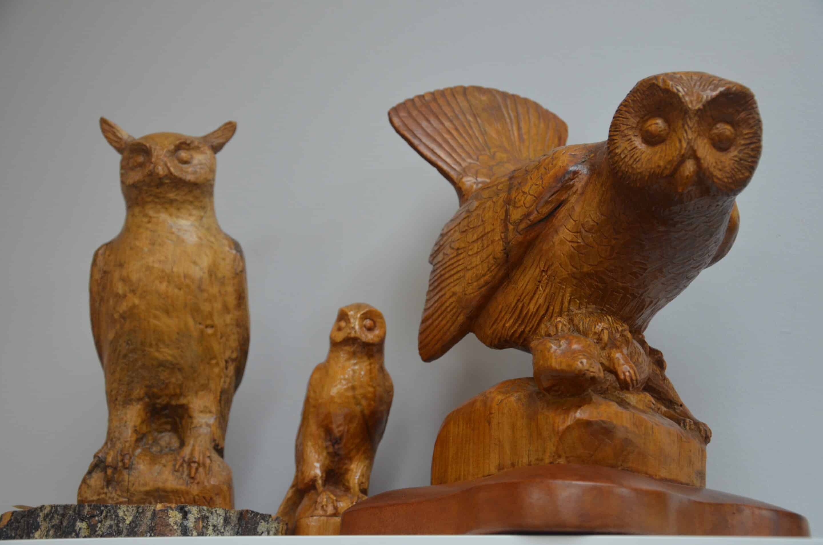 Où aller pour se cultiver ? | Journal Accès