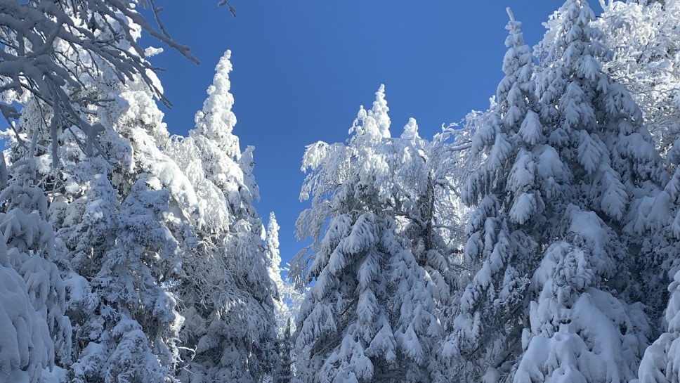 Quoi faire ce week-end ? On profite de la neige en randonnée alpine ...
